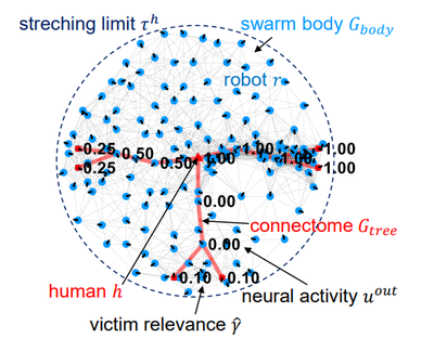 Extended Swarming with Embodied Neural Computation for Human Control over Swarms